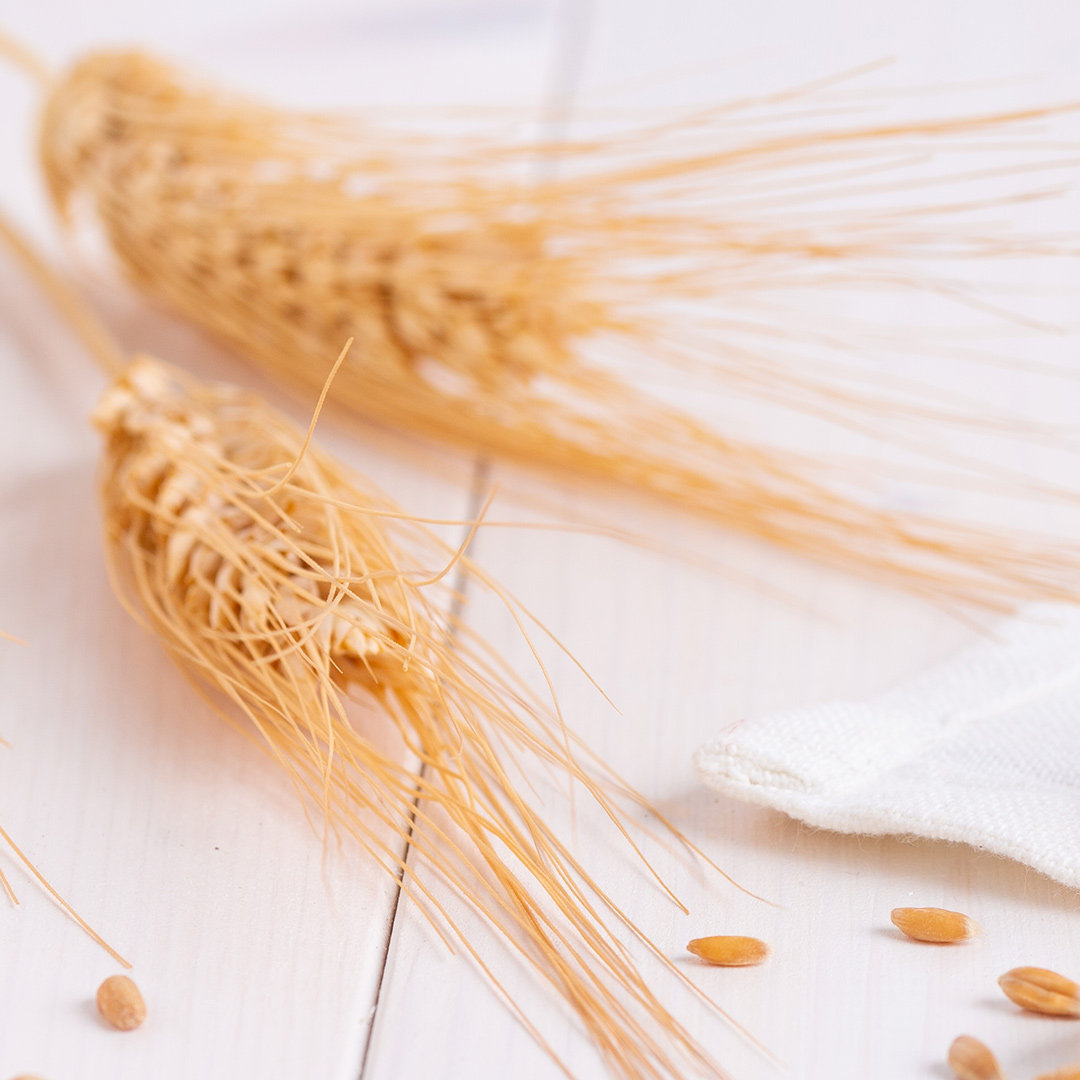 Farro – Gallette – Biscopan, the good home bread